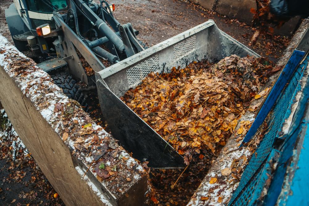 Renting a Dumpster for Fall Clean Up | Daniel J Clifford & Son, Inc.